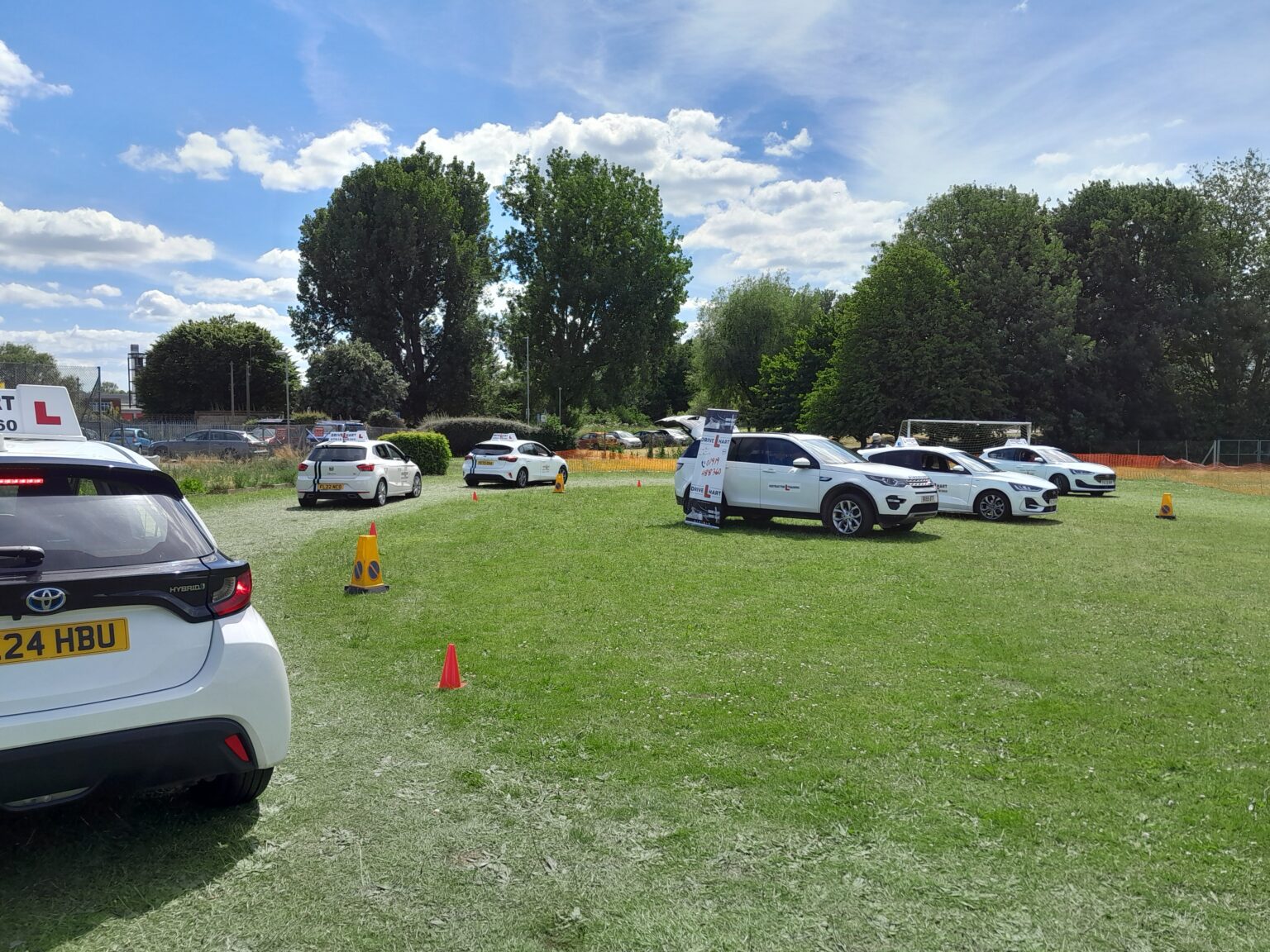 Feed Them Cake! Under 17 Driving Experience